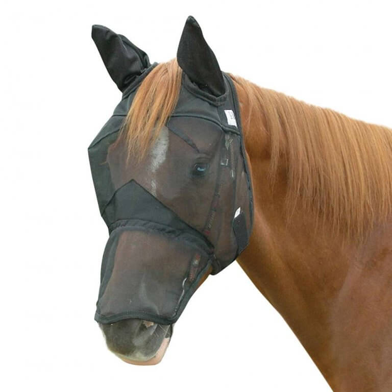 Fly Masks | Horse Sun / UV Protection | Fly Protection