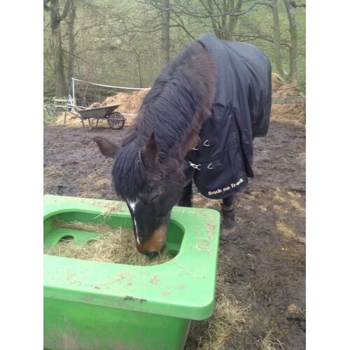 Parallax Hay Saver / Hay Slow Feeder - Standard Grill Version ...