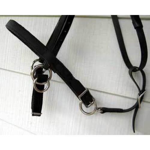LightRider Leather Bitless Noseband | Charlies Products