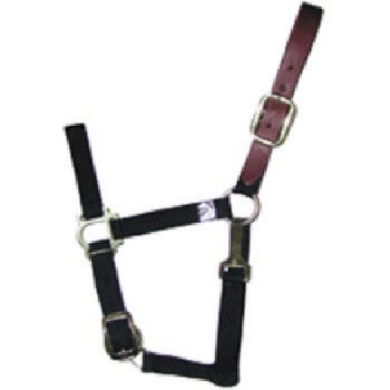 Safety breakaway halter
