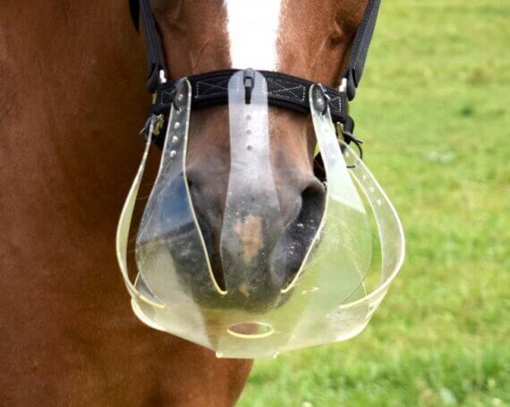 Thinline Flexible Filly Grazing Muzzle | Charlies Products